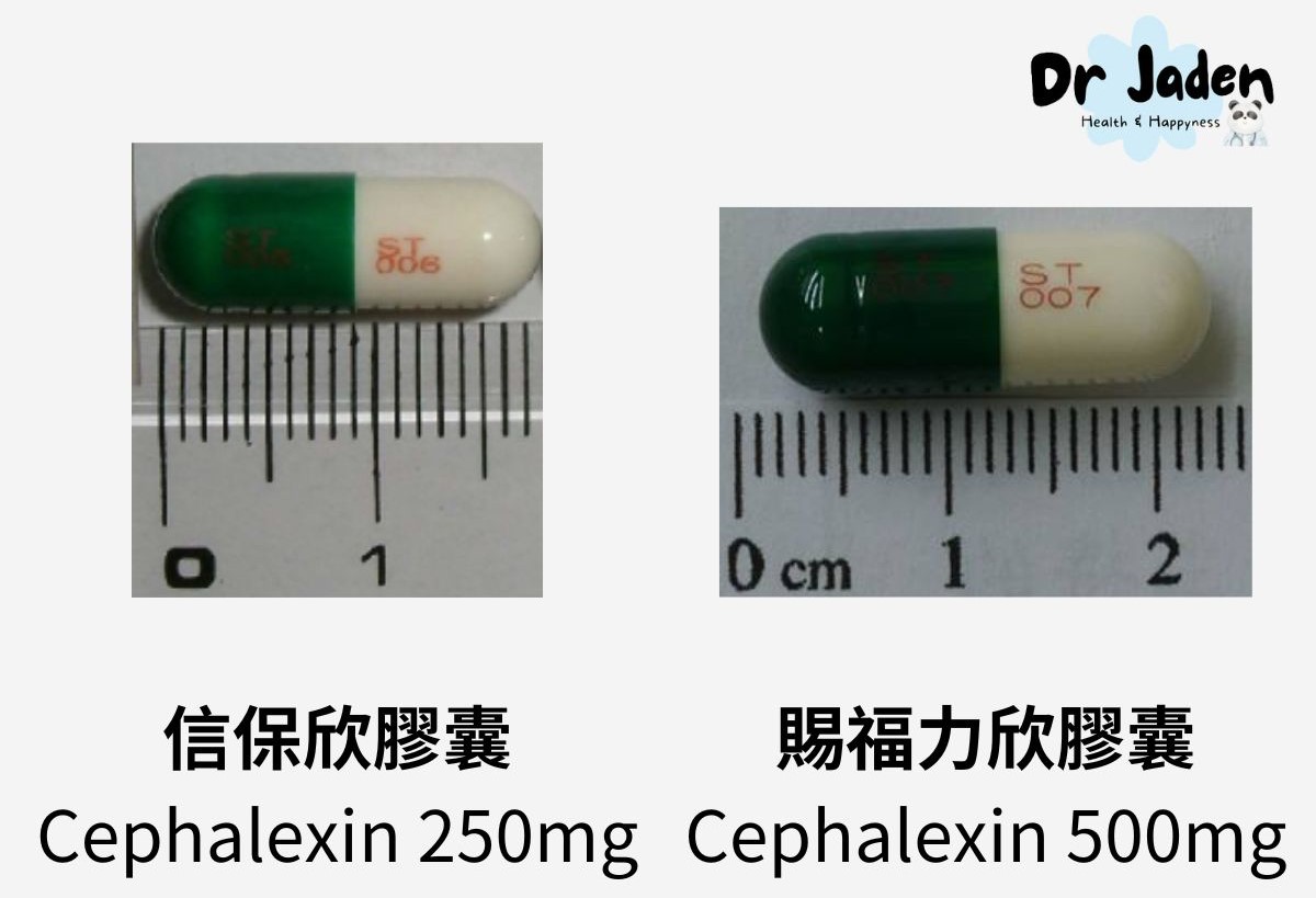 抗生素 - 優力黴素口服懸液用顆粒 Ulexin for oral suspension
